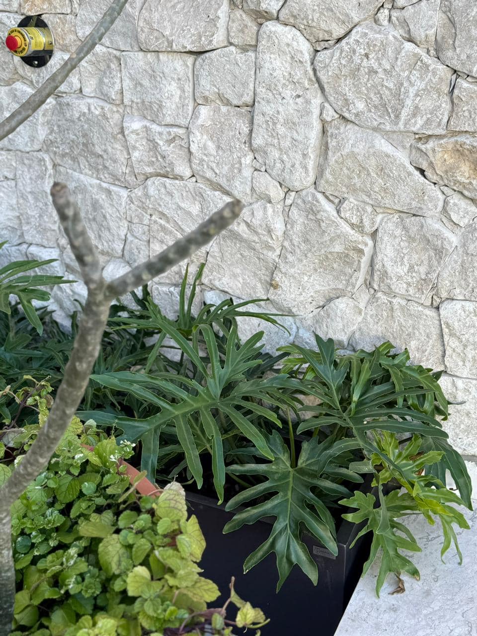 Travertino Orgânico Rockface - TRV 050B | Sahel Stones